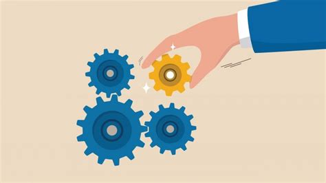 10 Funciones De Un Administrador U Continental