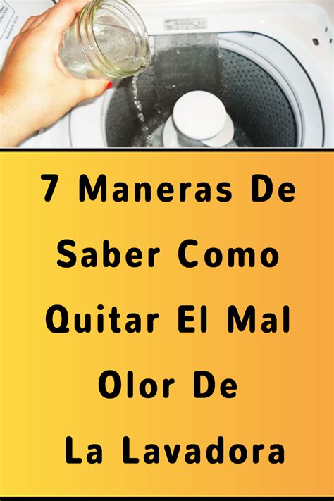 7 Maneras De Saber Como Quitar El Mal Olor De La Lavadora Lavadora