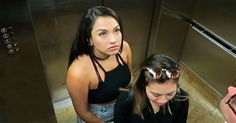 Momentos incríveis gravados pelas câmeras 4 Tediado