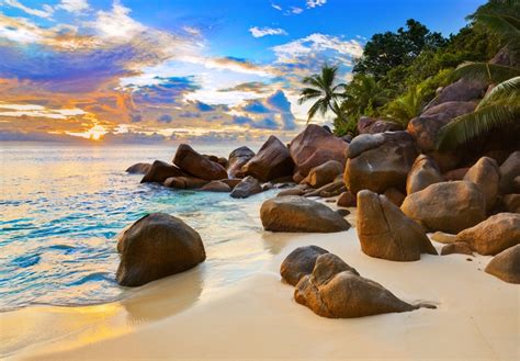 Image De Plage Plage Paradisiaque Pas Cher