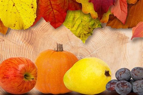 Las Mejores Frutas Y Verduras De Oto O