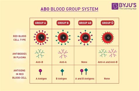 What Type Of Inheritance Controls Blood Types In Humans