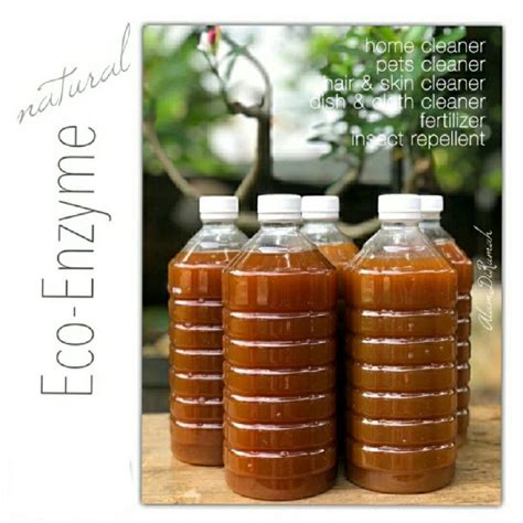 Jual Eco Enzyme 250 Ml Shopee Indonesia