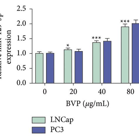 Breviscapine Inhibits Proliferation And Migration Of Prostate Cancer