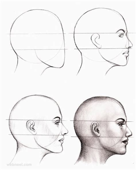 Step By Step How To Draw A Face Warehouse Of Ideas