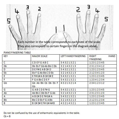 Helps You Remember The Fingering For Playing Major Scales R Coolguides