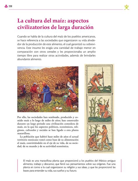 Ética naturaleza y sociedades Primer grado Página 208 de 353