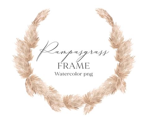 Pampas Grass Png Wreath Clipart Boho Dried Leaves Composition Bohemian