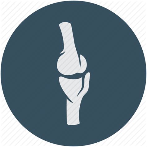 Knee Icon At Vectorified Collection Of Knee Icon Free For