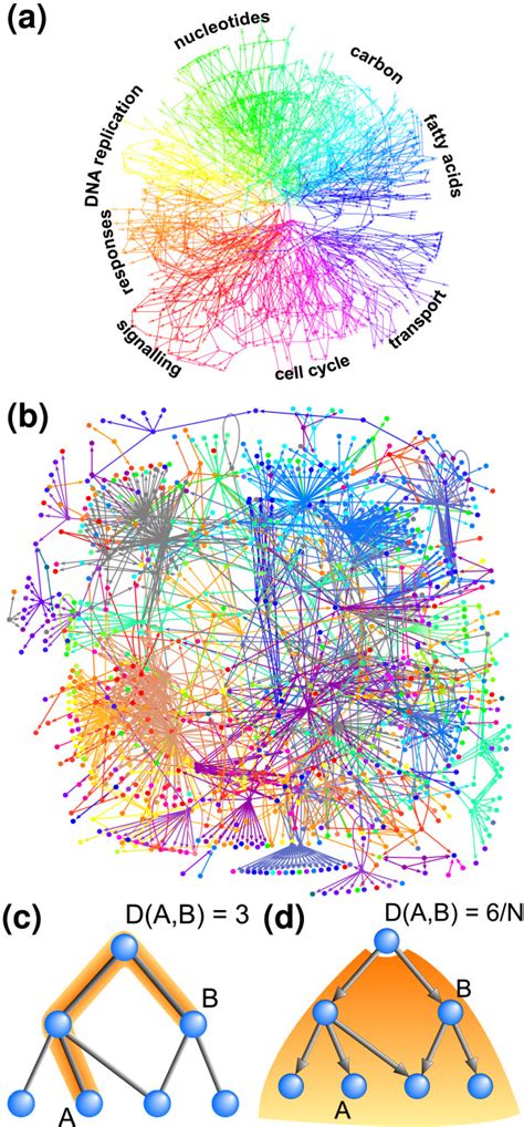 a gene ontology go annotation graph for biological processes the network is color coded