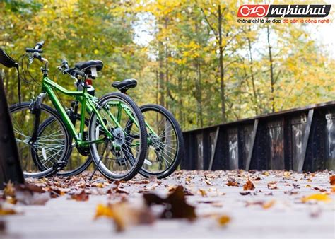 Những chuyến đi bằng xe đạp khởi sắc Xe đạp Nhật Nghĩa Hải