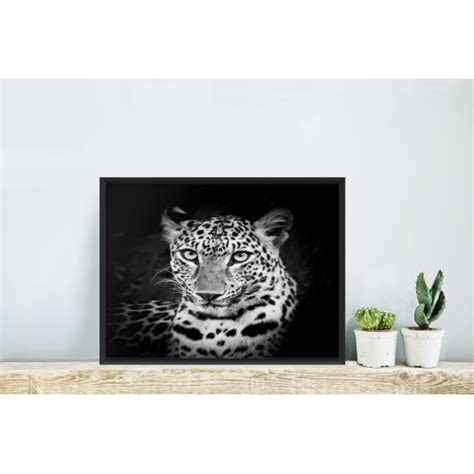 MuchoWow Poster encadré Panthère Noir Blanc Tableau deco avec