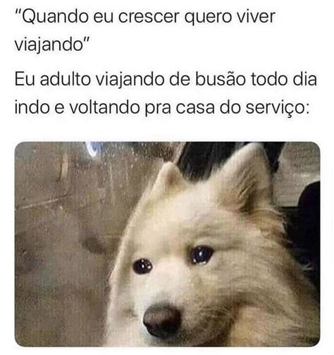 Eu Quando For Morar Sozinho Finalmente Sou Independente Memes