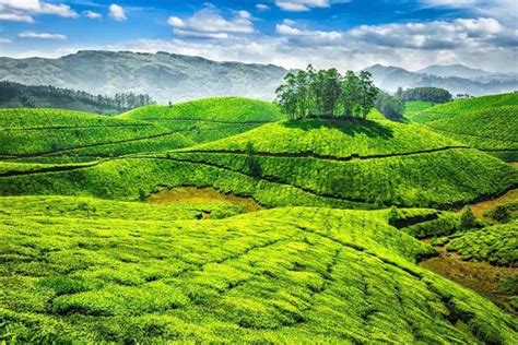 Ooty Tour Coastline Holidays