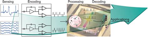 memristive devices for neuromorphic computing a interface type download scientific diagram