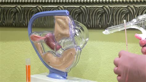 What To Expect With Your First Pelvic Exam With Dr Summer Khan YouTube