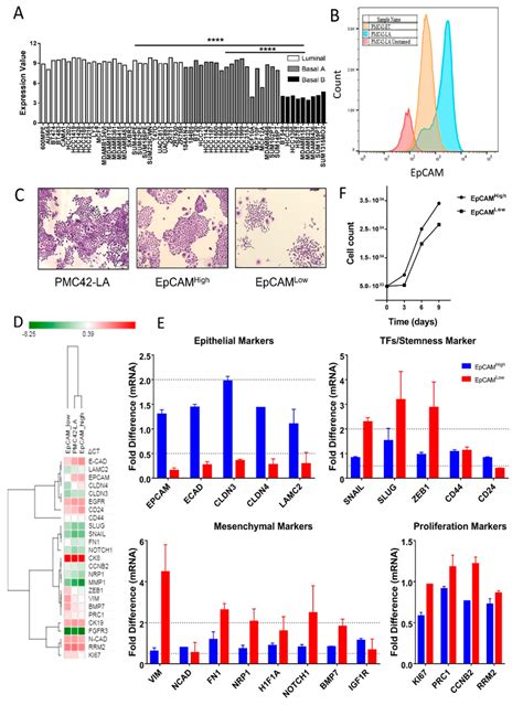A Epcam Assessment In Gene Expression Data Of Breast Cancer Cell