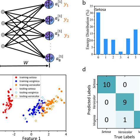 iris flower classification using the diffractive neural network a download scientific diagram