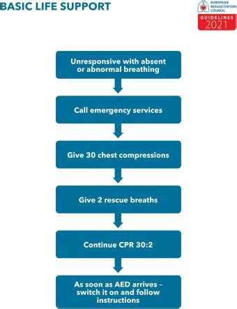 European Resuscitation Council Guidelines Basic Life Support