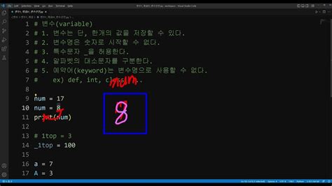 파이썬 변수1 개념01 변수선언 youtube