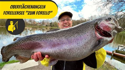 1 Forellenangeln Am Forellensee Zum Forello YouTube