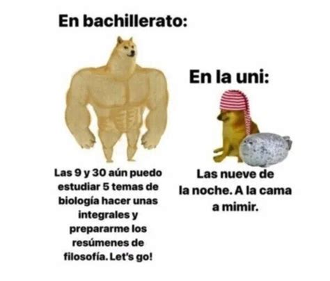 Bachillerato Vs Universidad Meme Subido Por G A D A Memedroid