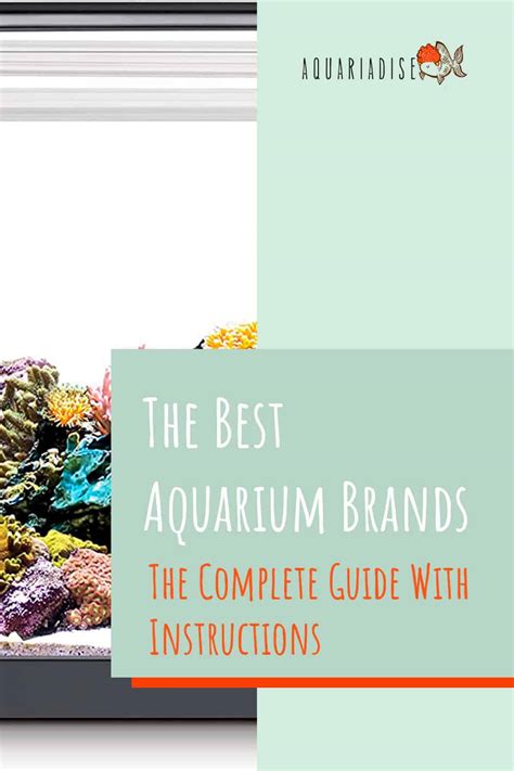 The Best Aquarium Brands For Your Fish Friends