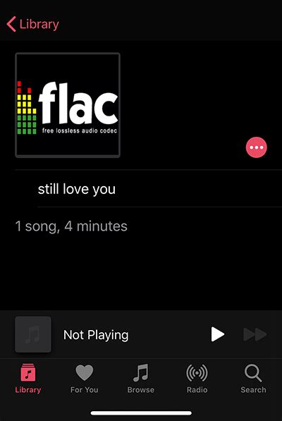 How To Transfer Play FLAC On IPhone IPad And IPod