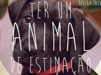 20 Ideias De 1000 Coisas Que Todo Mundo Deveria Fazer Em 2023 Dj