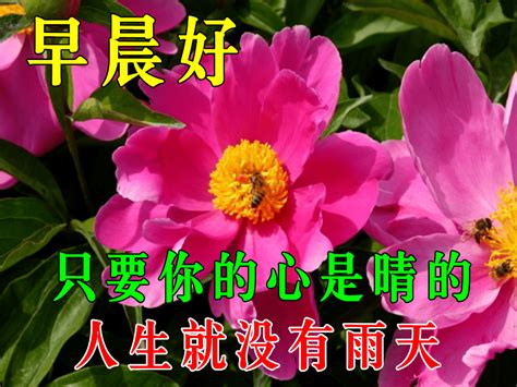 10月22日早上好动态表情图片及早晨好动图美图大全 70 的疾病与情绪有关 祝福 朋友 人生