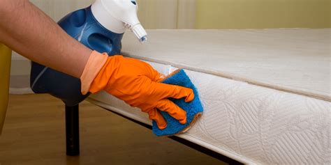 Comment nettoyer et désinfecter un matelas en profondeur legrisou fr