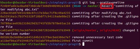 How Do I Revert To A Previous Commit In Git