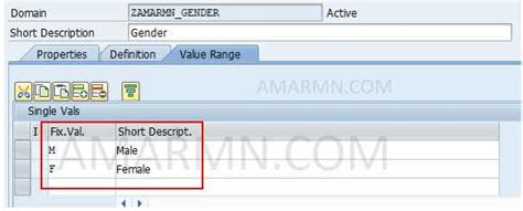 SAP ABAP Domain Fixed Values And Value Range Amarmn