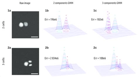 Gaussian Mixture Model Fit On Cell Images Each Row Shows An Image Of