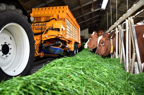 Grazer met afvoerband Bélair Gabare Premium Veehouderij Techniek