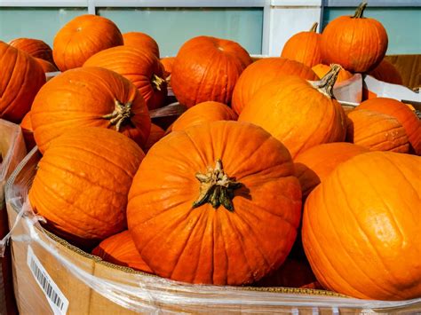 Calabazas Beneficios Para La Salud Y Valor Nutricional