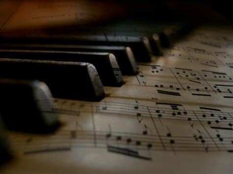 Como Ler Partitura Hora de Aprender os Conceitos Básicos