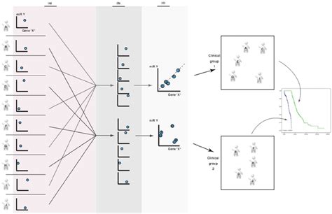 workflow diagram using standard feature selection algorithms see download scientific diagram