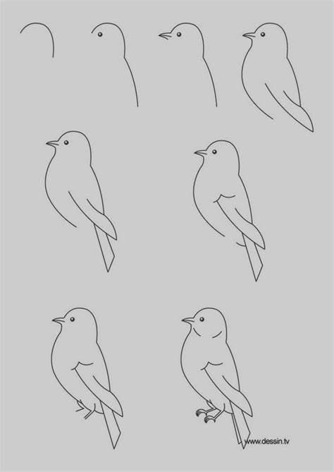 Easy Pencil Sketch Drawing Step By Step