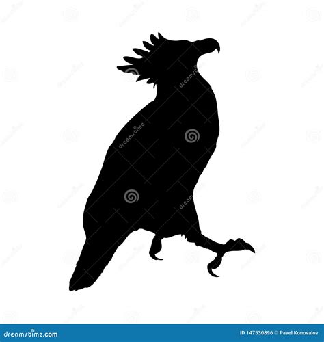 Silueta del p jaro ilustración del vector Ilustración de aloft 147530896