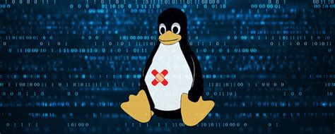 Website Security How Do Websites Get Hacked Indusface Blog