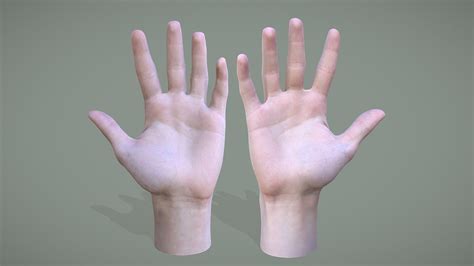 Male Hands Buy Royalty Free 3D Model By Lassi Kaukonen Thesidekick