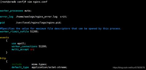 nginx配置文件vim下语法高亮显示 二进制nginx 如何实现语法高亮 csdn博客