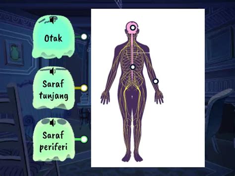 SISTEM SARAF MANUSIA TAHUN 6 Labelled Diagram