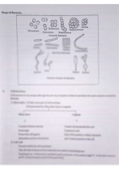 SOLUTION Biological Classification Short Notes Studypool