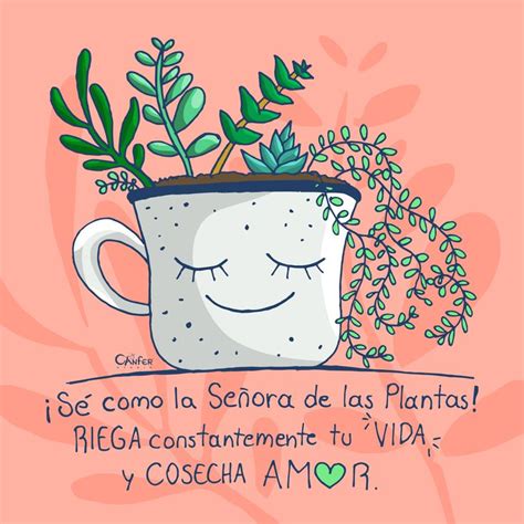 Como La Se Ora De Las Plantas
