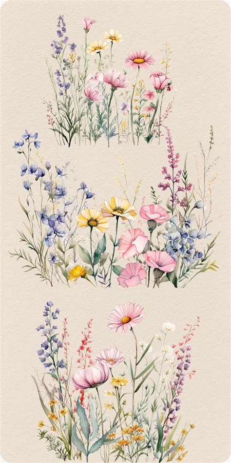 Wildflower Clipart Floral Clipart Wildflower Png Meadow Flowers