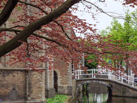 La Ciudad De La Cer Mica De Delft En Los Pa Ses Bajos Imagen De Archivo