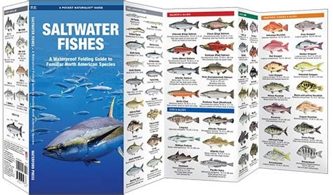 Saltwater Fishes 2nd Edition Pocket Naturalist Guide