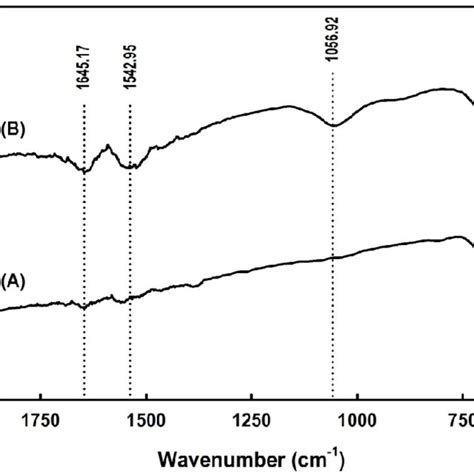 Fourier Transform Infrared Spectroscopy FTIR Spectra Of Naked Fe 3 O